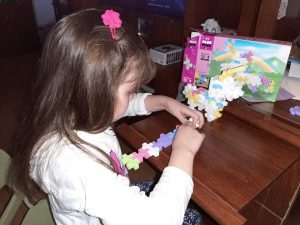 Plus-Plus blocks building sets