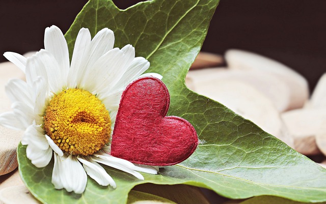What are the Most Popular Flowers for Romantic Occasions? - Today's ...