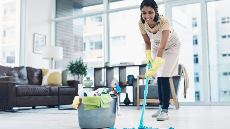 Exploring the Role of Professional Cleaners for Your Home