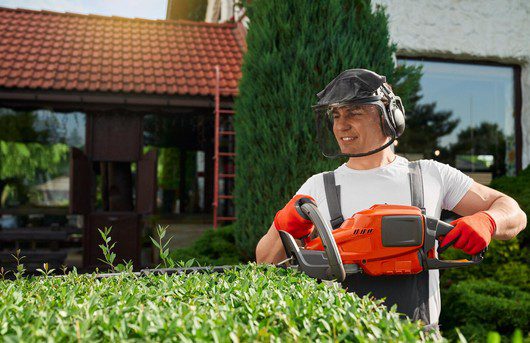 Sewing The Seeds: How To Start A Landscaping Business