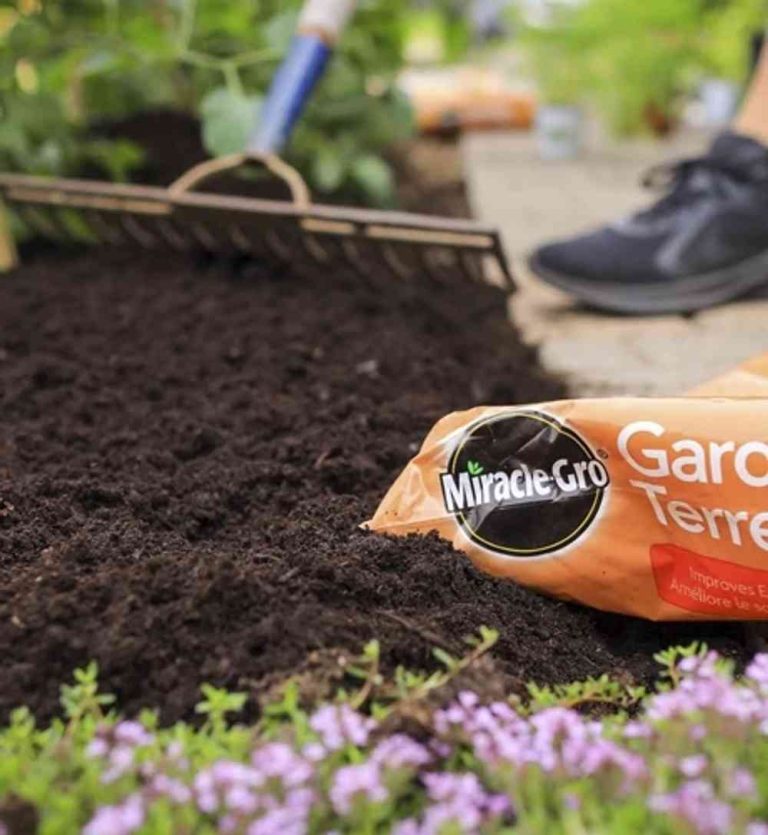 Best Outdoor Soil Canada Guide for Healthy Gardens